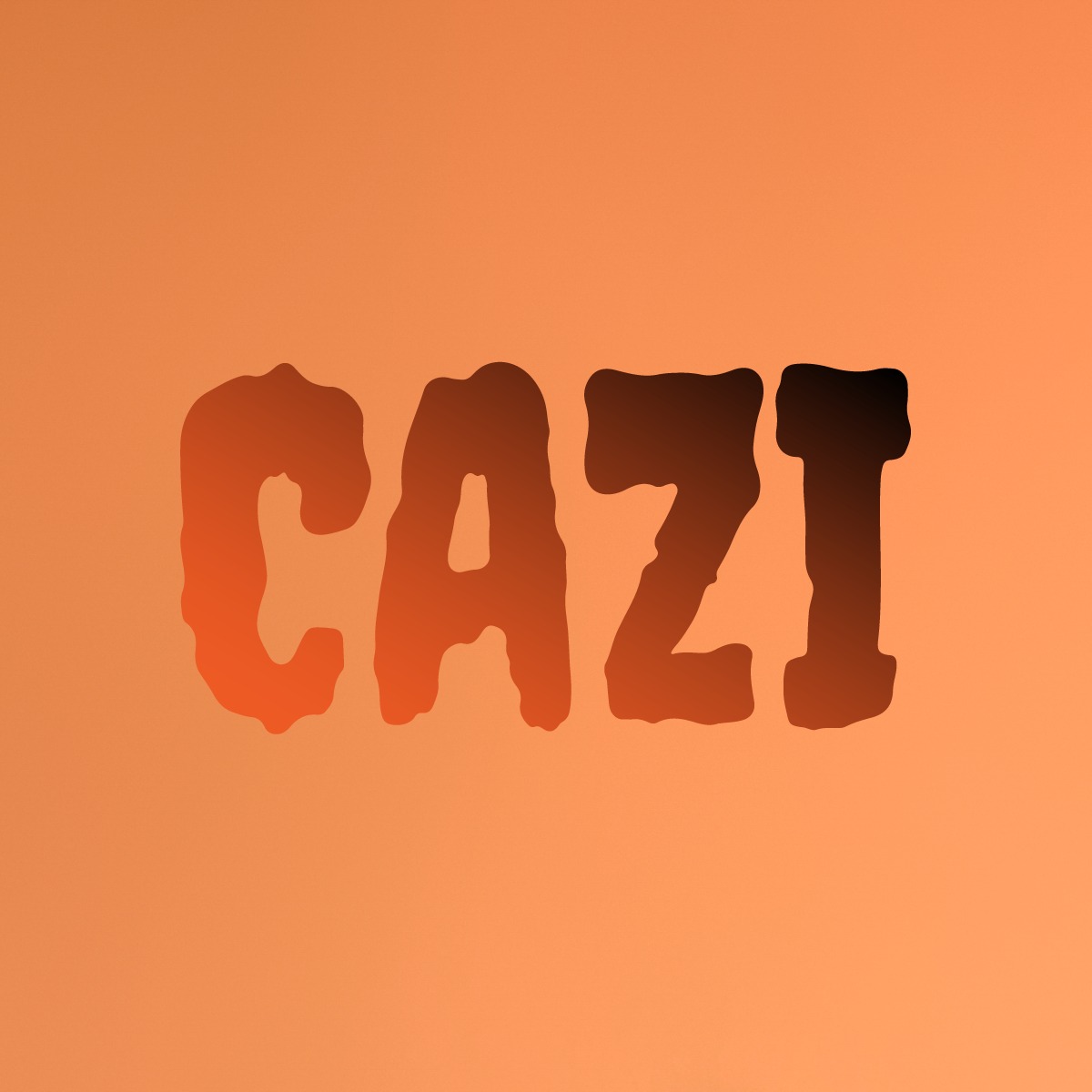 Cazi.brand - Shopee Mall Online | Shopee Việt Nam