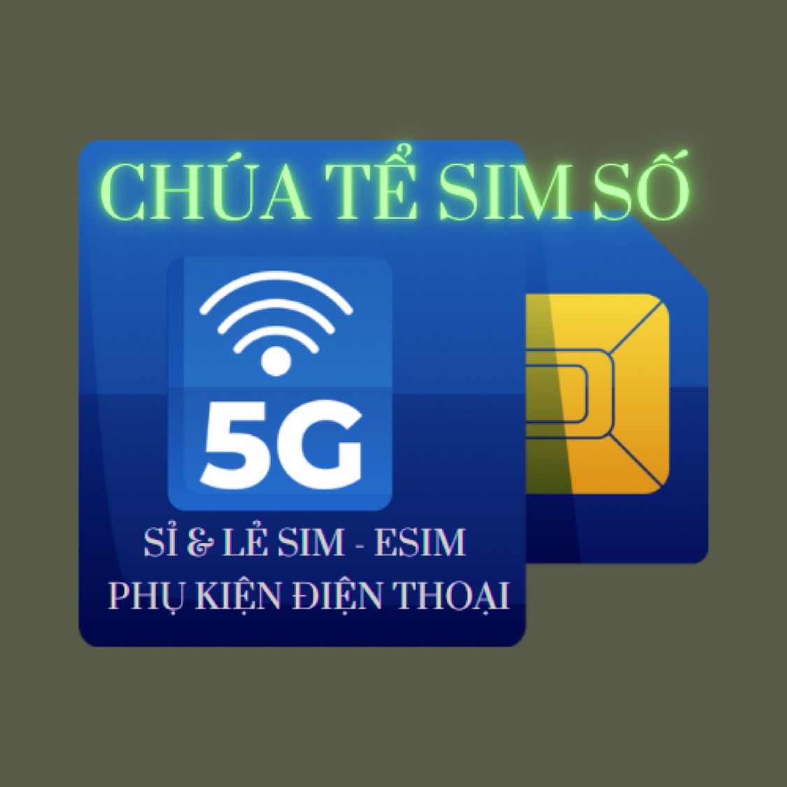 Chúa tể Sim số, Cửa hàng trực tuyến | Shopee Việt Nam