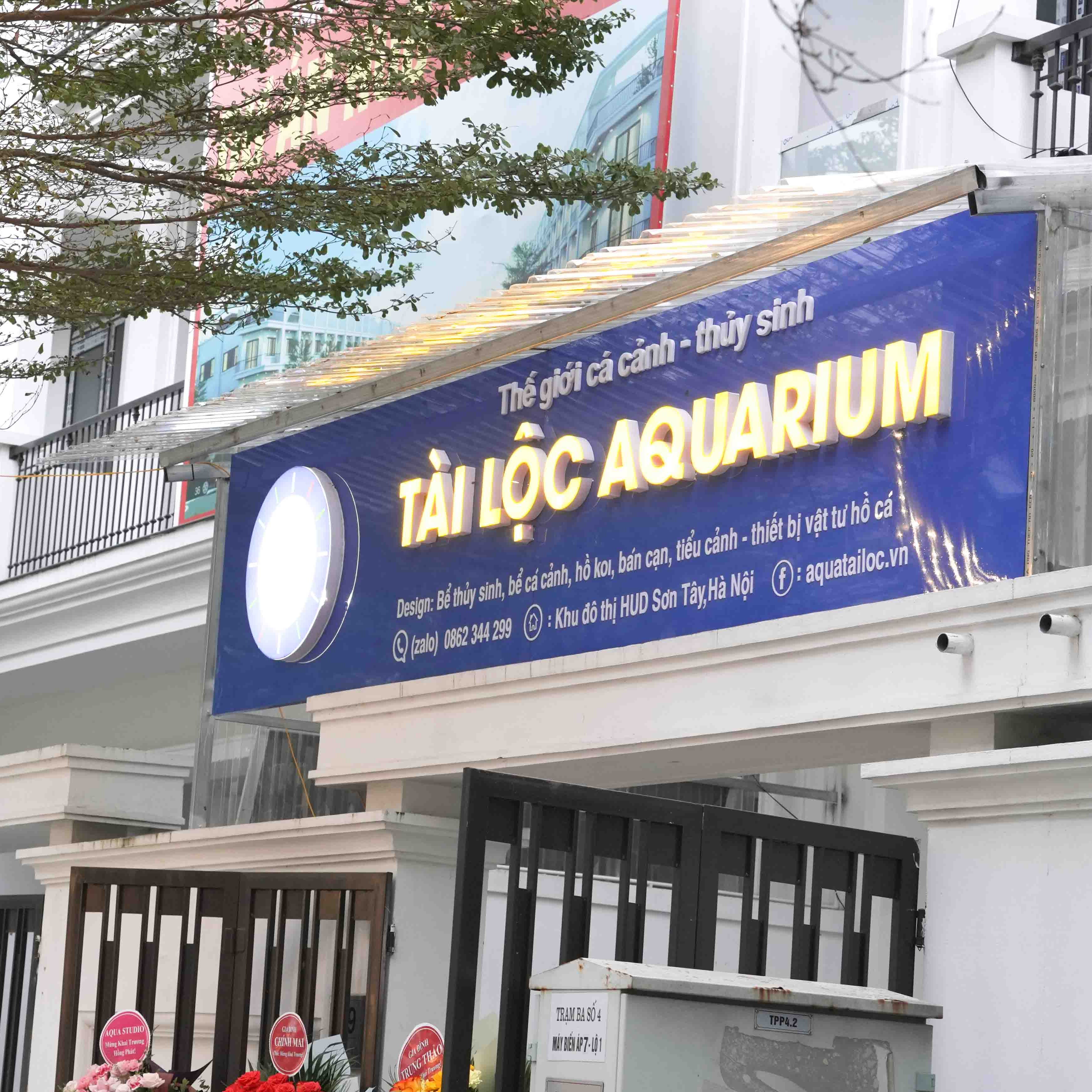 Tai loc aquarium, Cửa hàng trực tuyến | Shopee Việt Nam