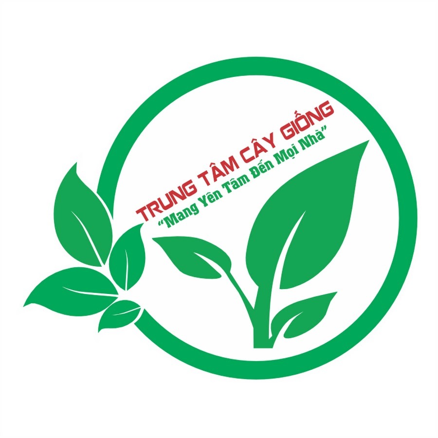 Cây _Giống_HVNN, Cửa hàng trực tuyến | Shopee Việt Nam