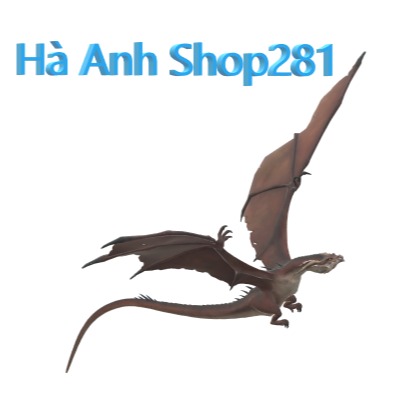 Hà Anh Shop281, Cửa hàng trực tuyến | Shopee Việt Nam