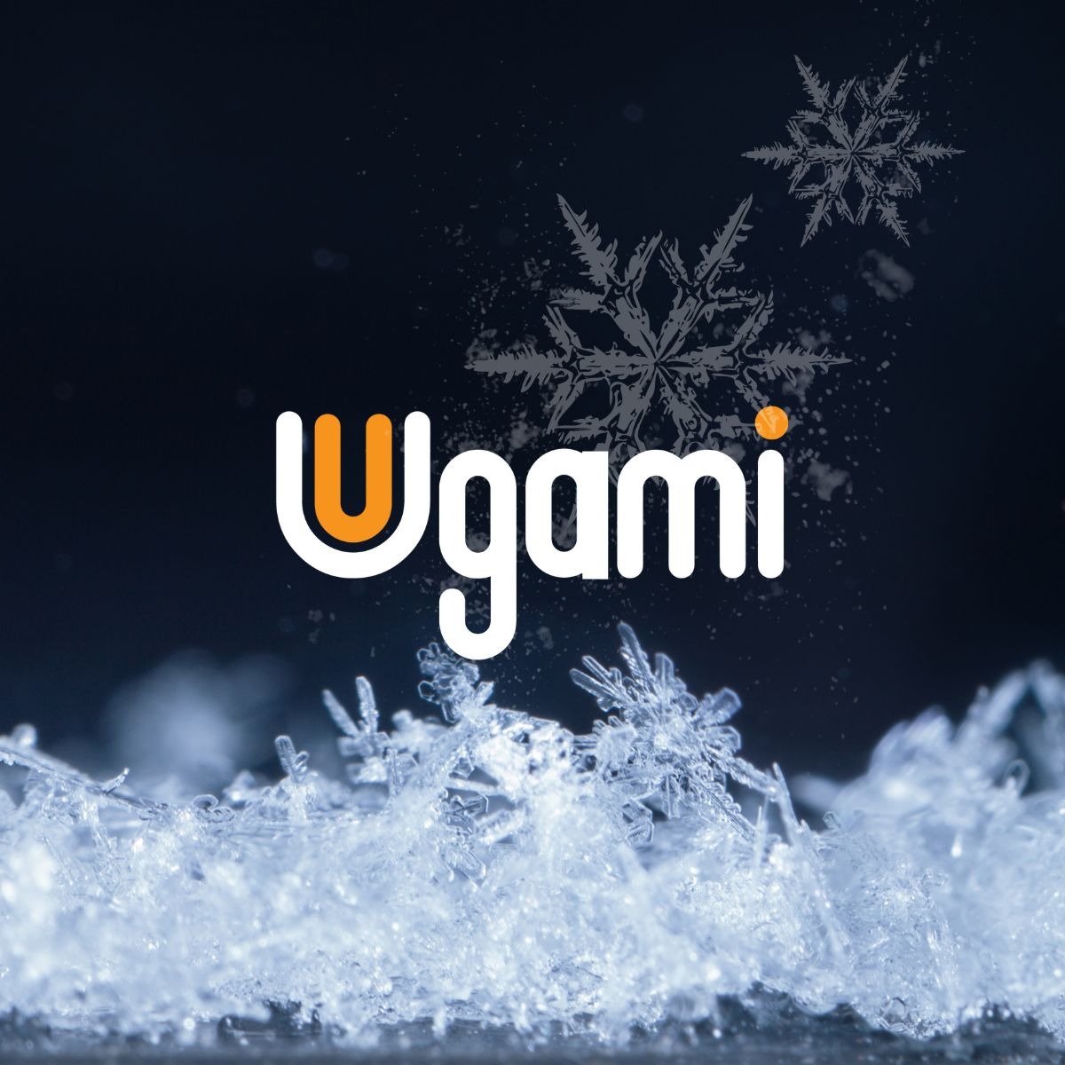 Ugami official, Cửa hàng trực tuyến | Shopee Việt Nam