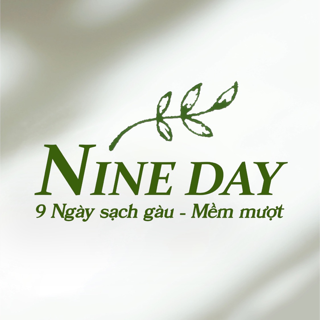 Dầu gội thảo dược Nine Day, Cửa hàng trực tuyến | Shopee Việt Nam