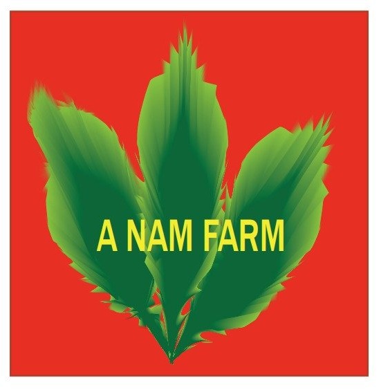 Anam.shop, Cửa hàng trực tuyến | Shopee Việt Nam