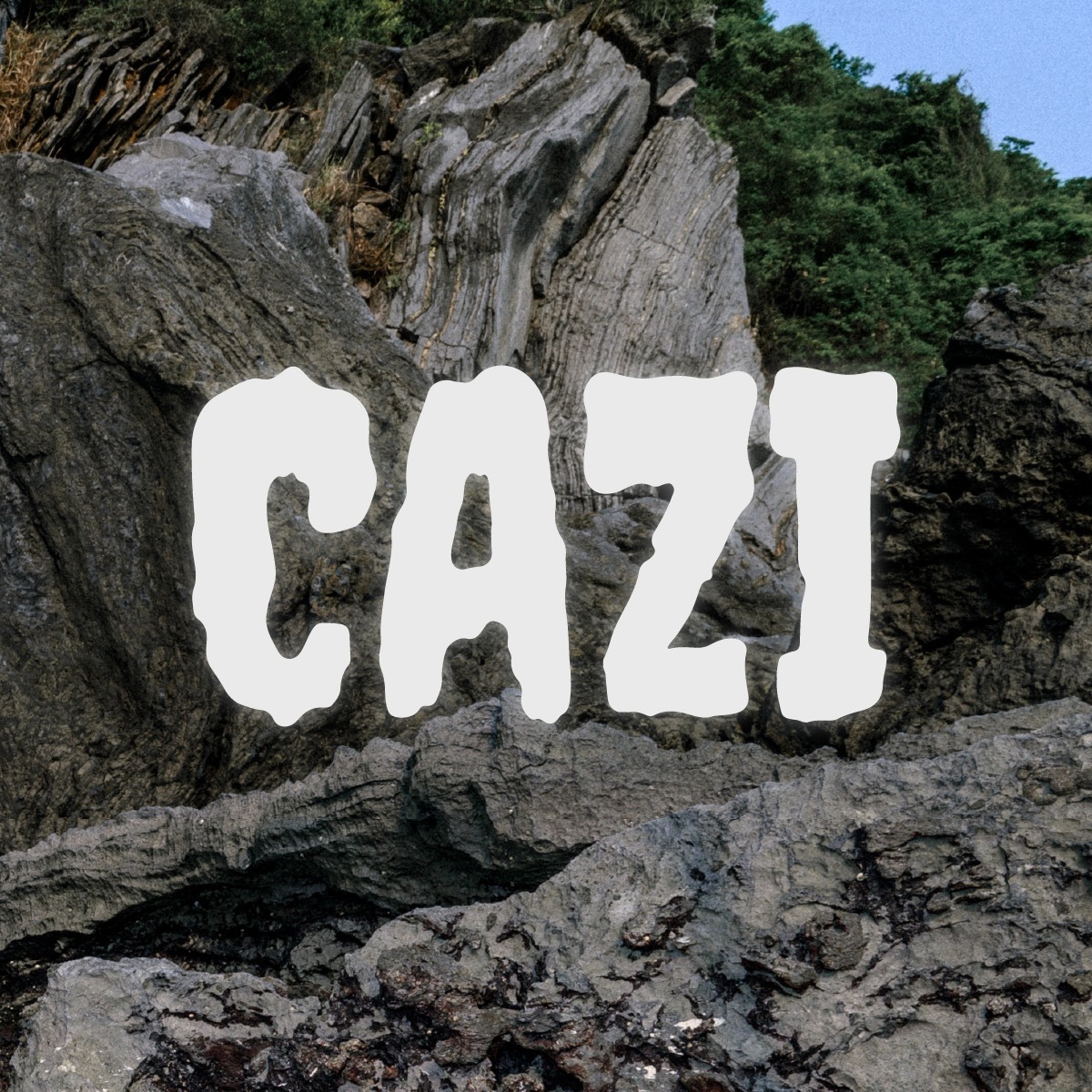 Cazi.brand - Shopee Mall Online | Shopee Việt Nam