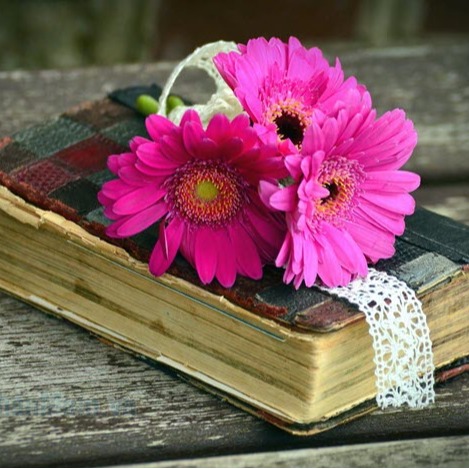 Labubu Book, Cửa hàng trực tuyến | Shopee Việt Nam