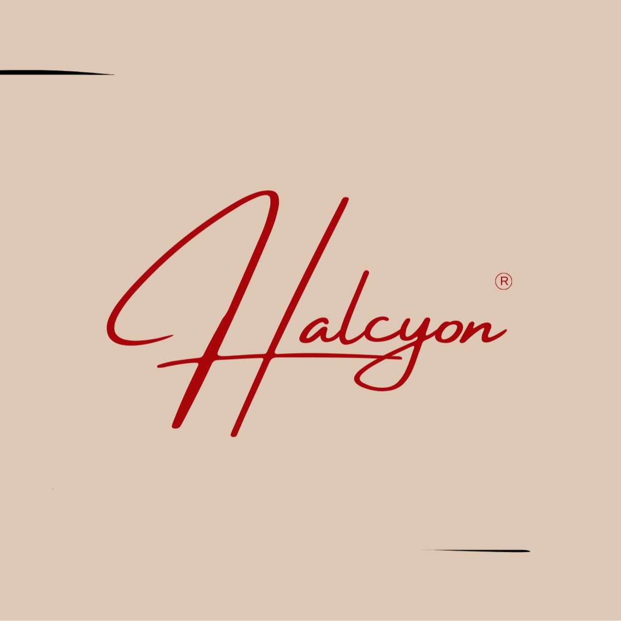 Halcyon, Cửa hàng trực tuyến | Shopee Việt Nam