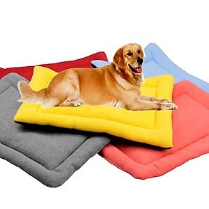 Bin Bom Shop, Cửa hàng trực tuyến | Shopee Việt Nam