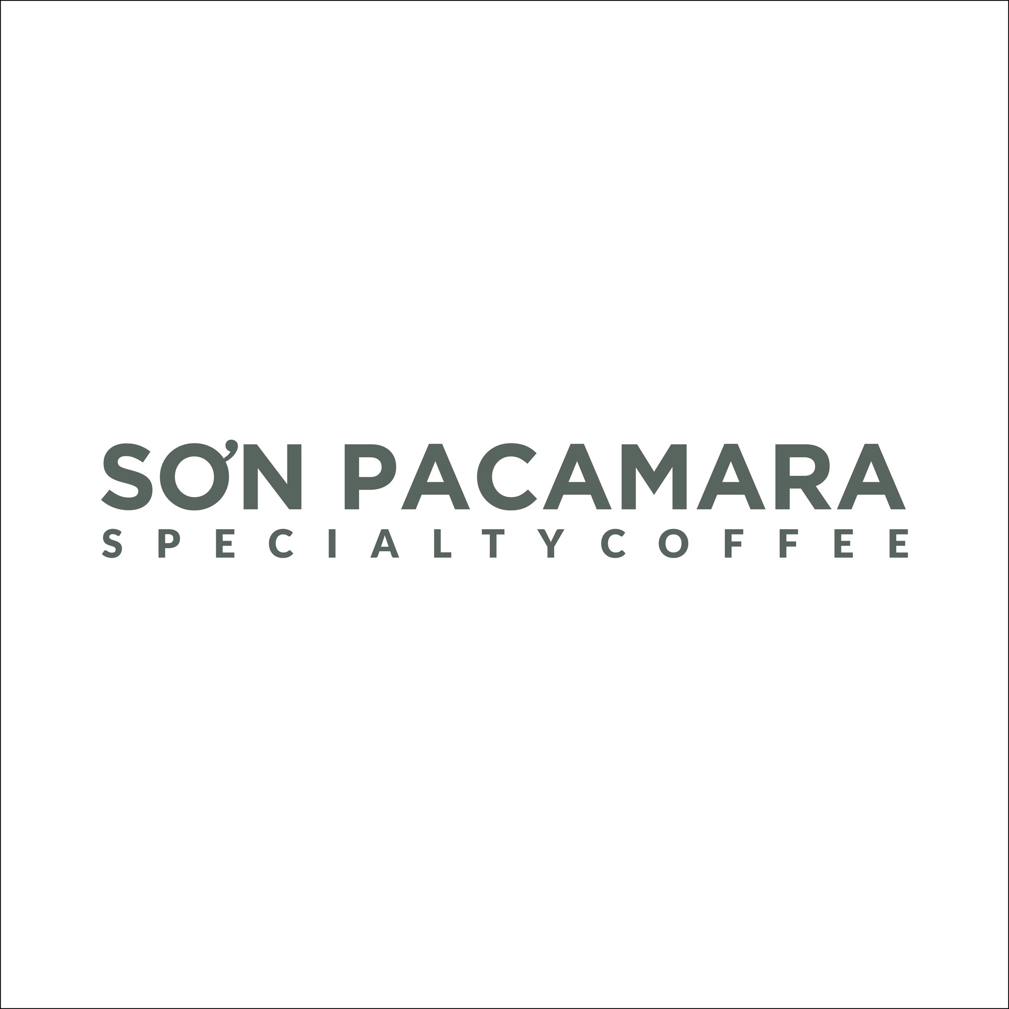 Sơn Pacamara Specialty Coffee , Cửa hàng trực tuyến | Shopee Việt Nam