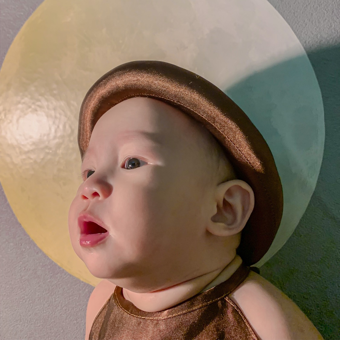 Meng daily, Cửa hàng trực tuyến | Shopee Việt Nam