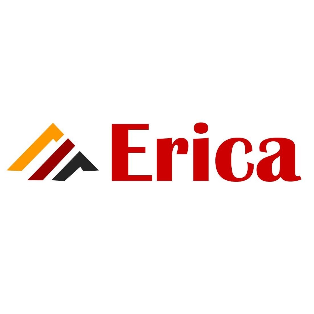 Nội Thất Thông Minh - Erica, Cửa hàng trực tuyến | Shopee Việt Nam