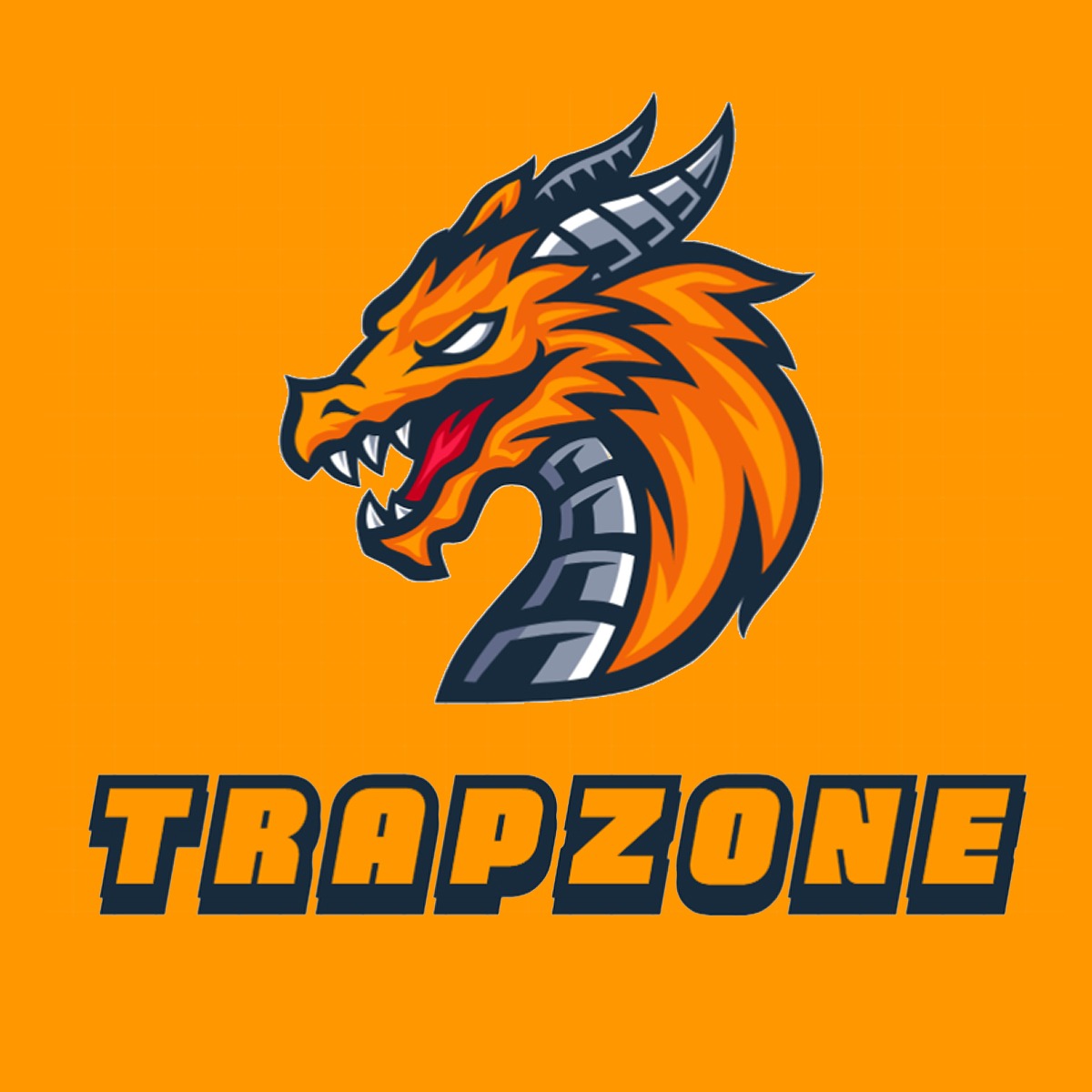 TrapZone, Cửa hàng trực tuyến | Shopee Việt Nam