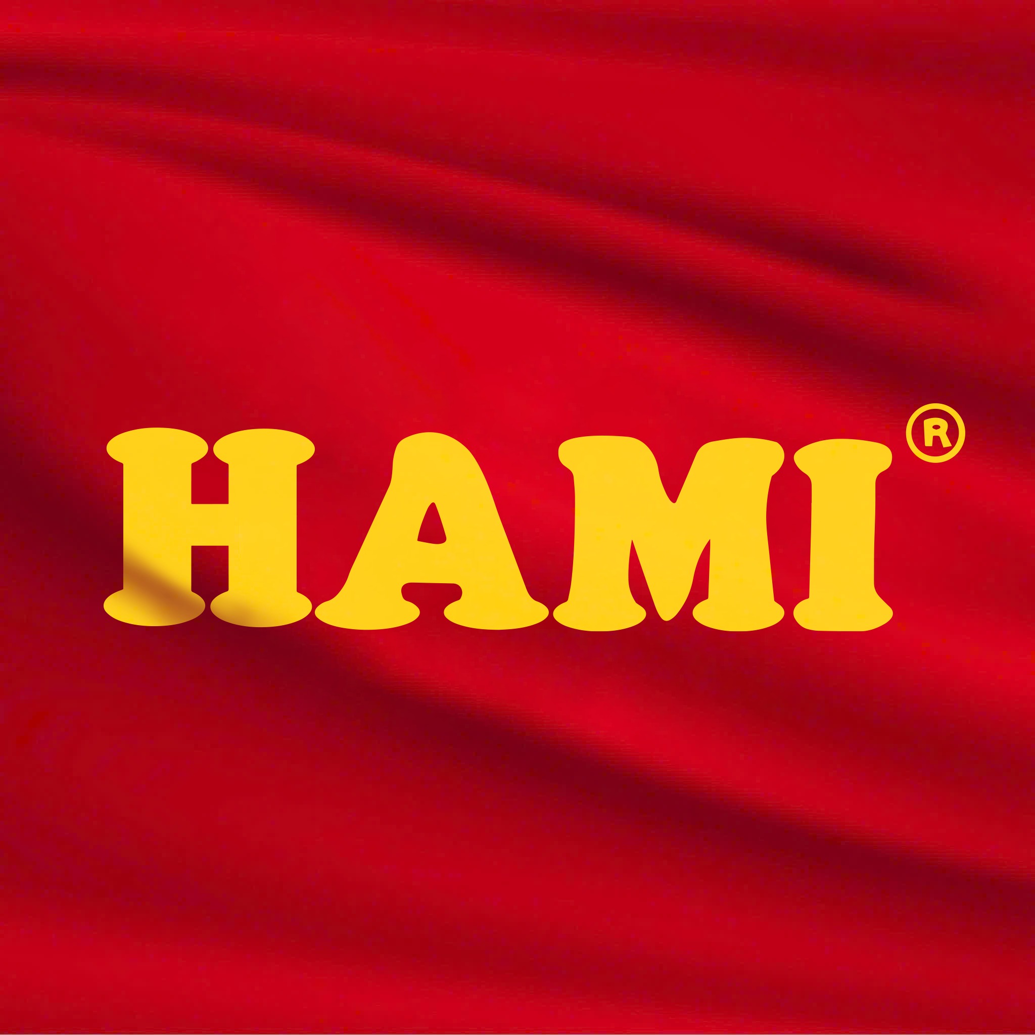 Hami - Shopee Mall Online | Shopee Việt Nam