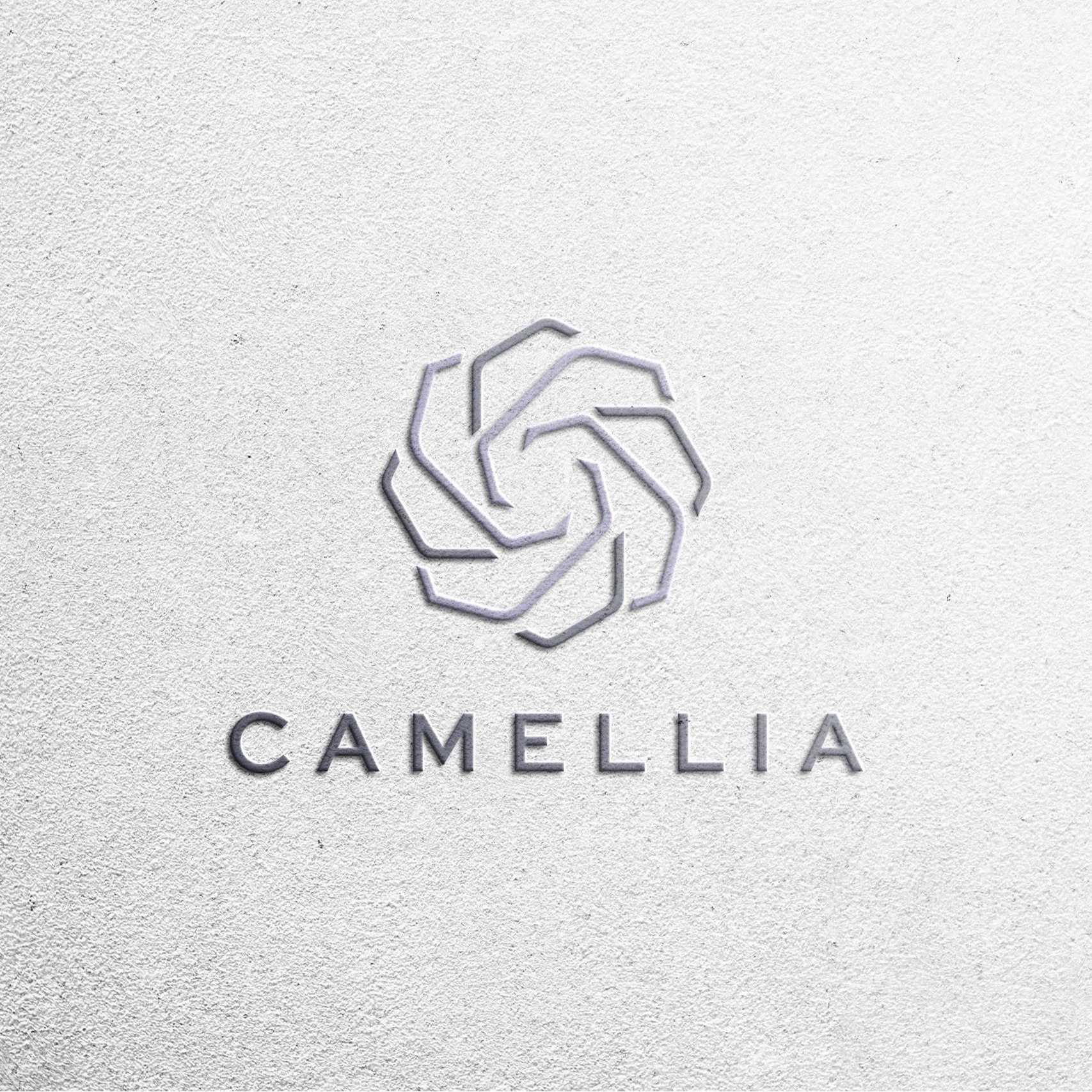 Camellia-Thời Trang Trung Niên, Cửa hàng trực tuyến | Shopee Việt Nam
