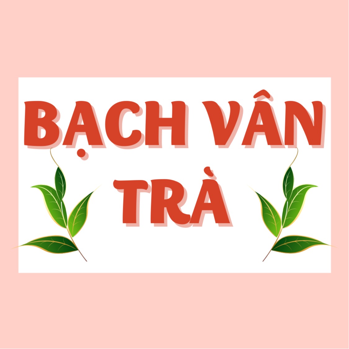 BẠCH VÂN TRÀ, Cửa hàng trực tuyến | Shopee Việt Nam