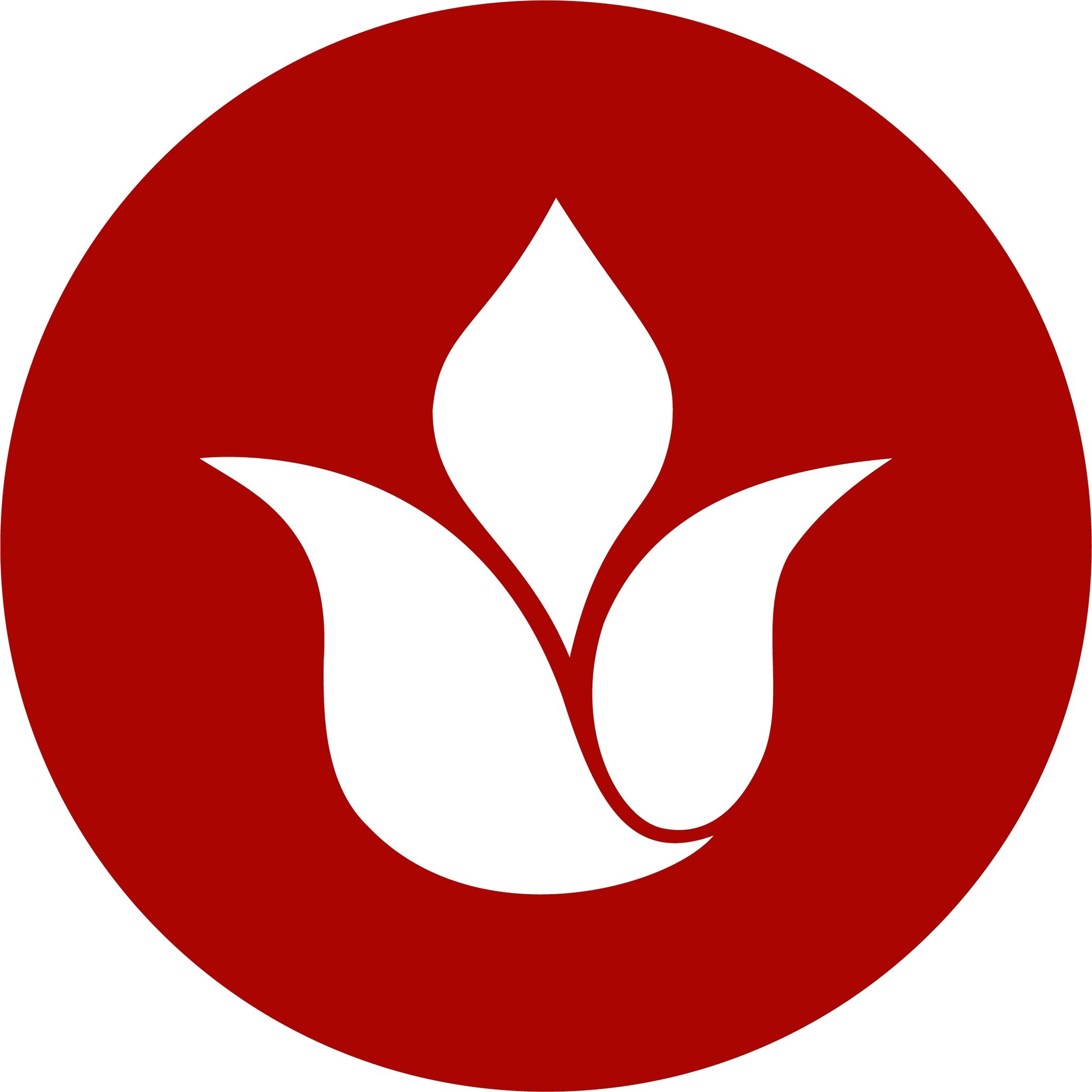 Atiso đỏ Huyết Long, Cửa hàng trực tuyến | Shopee Việt Nam