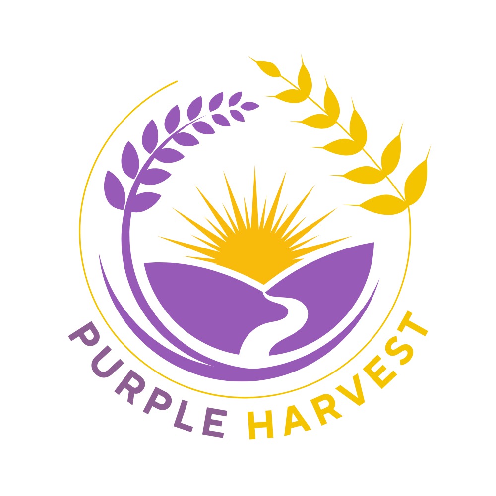 Purple Harvest, Cửa hàng trực tuyến | Shopee Việt Nam