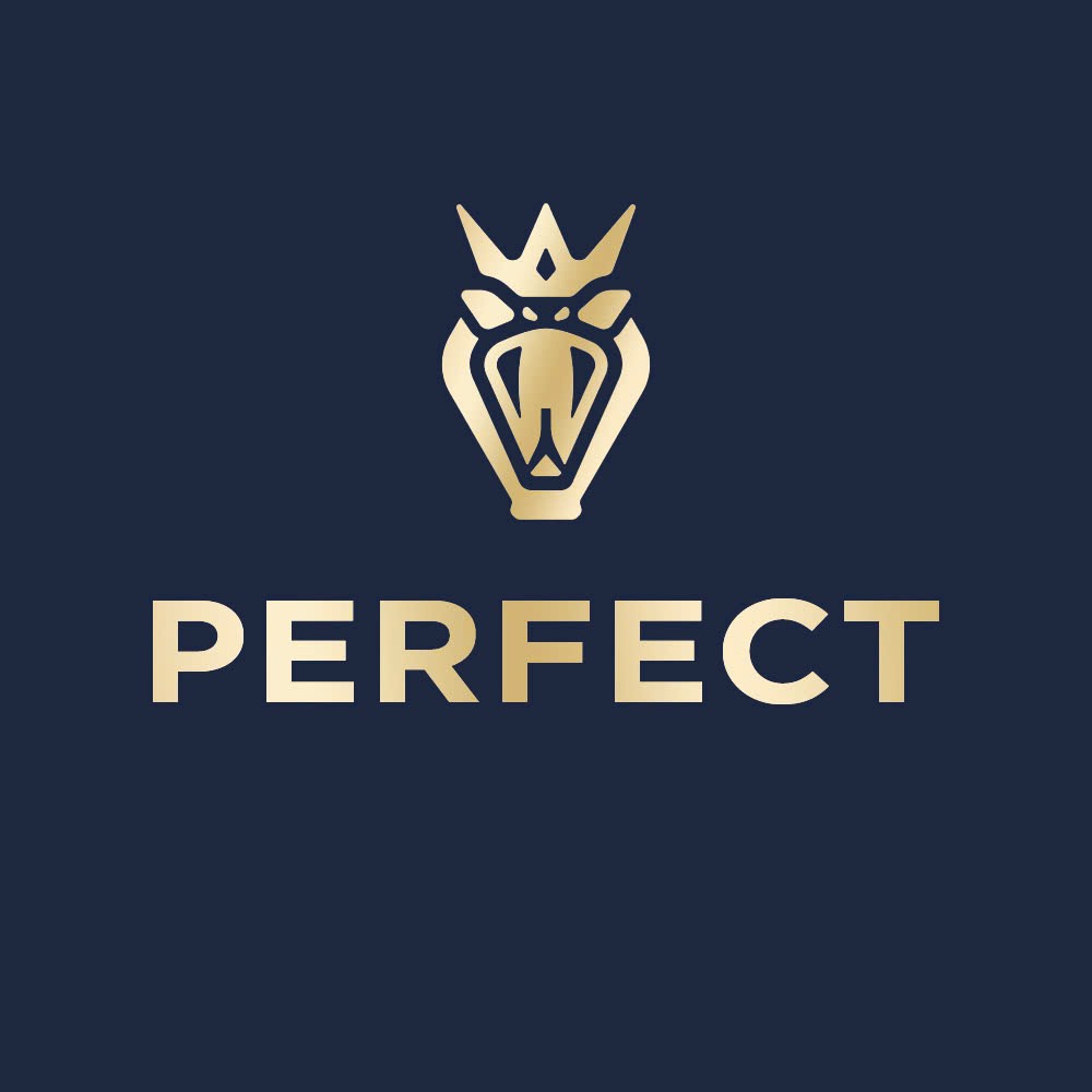 PERFECT Store VN, Cửa hàng trực tuyến | Shopee Việt Nam