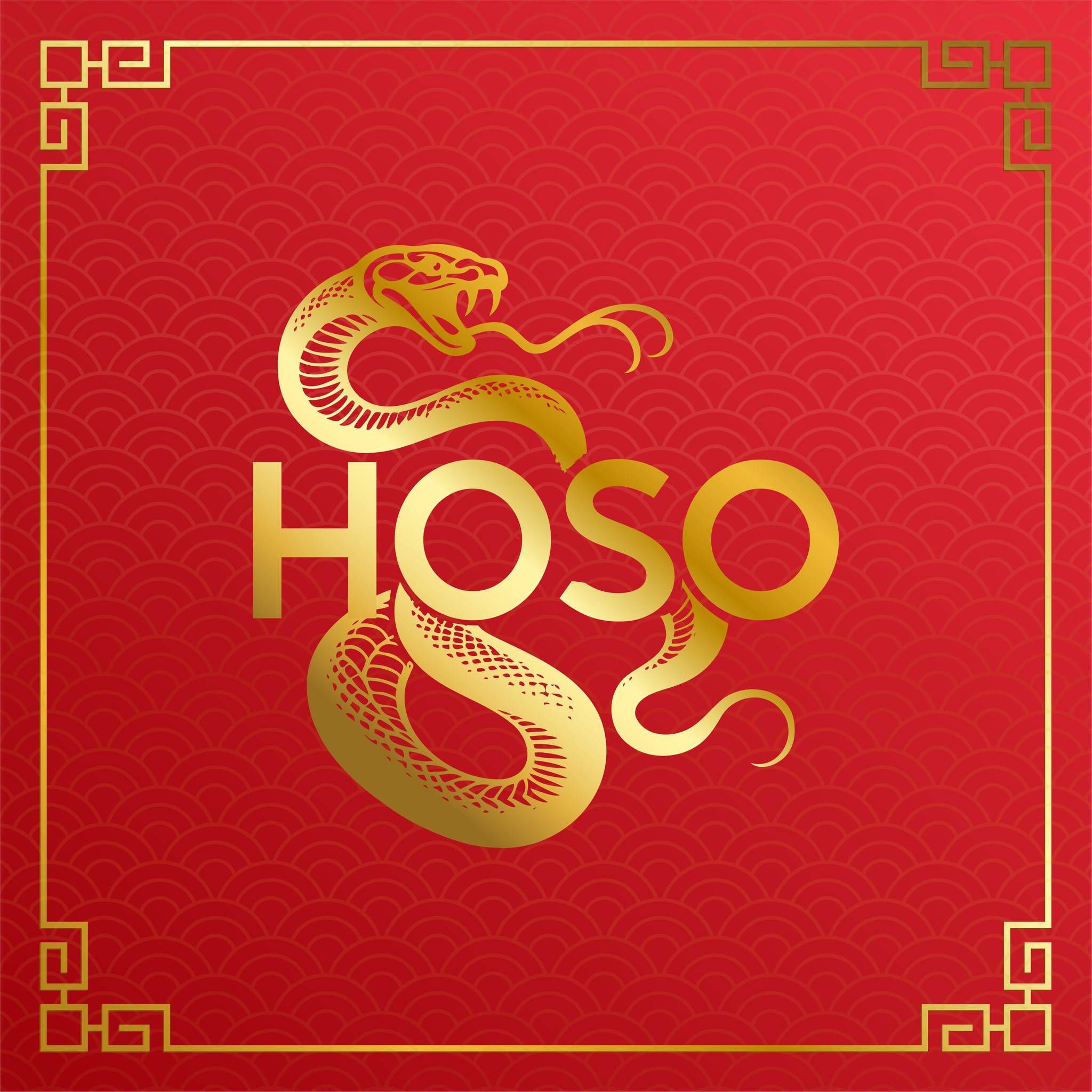 hoso.hcm, Cửa hàng trực tuyến | Shopee Việt Nam