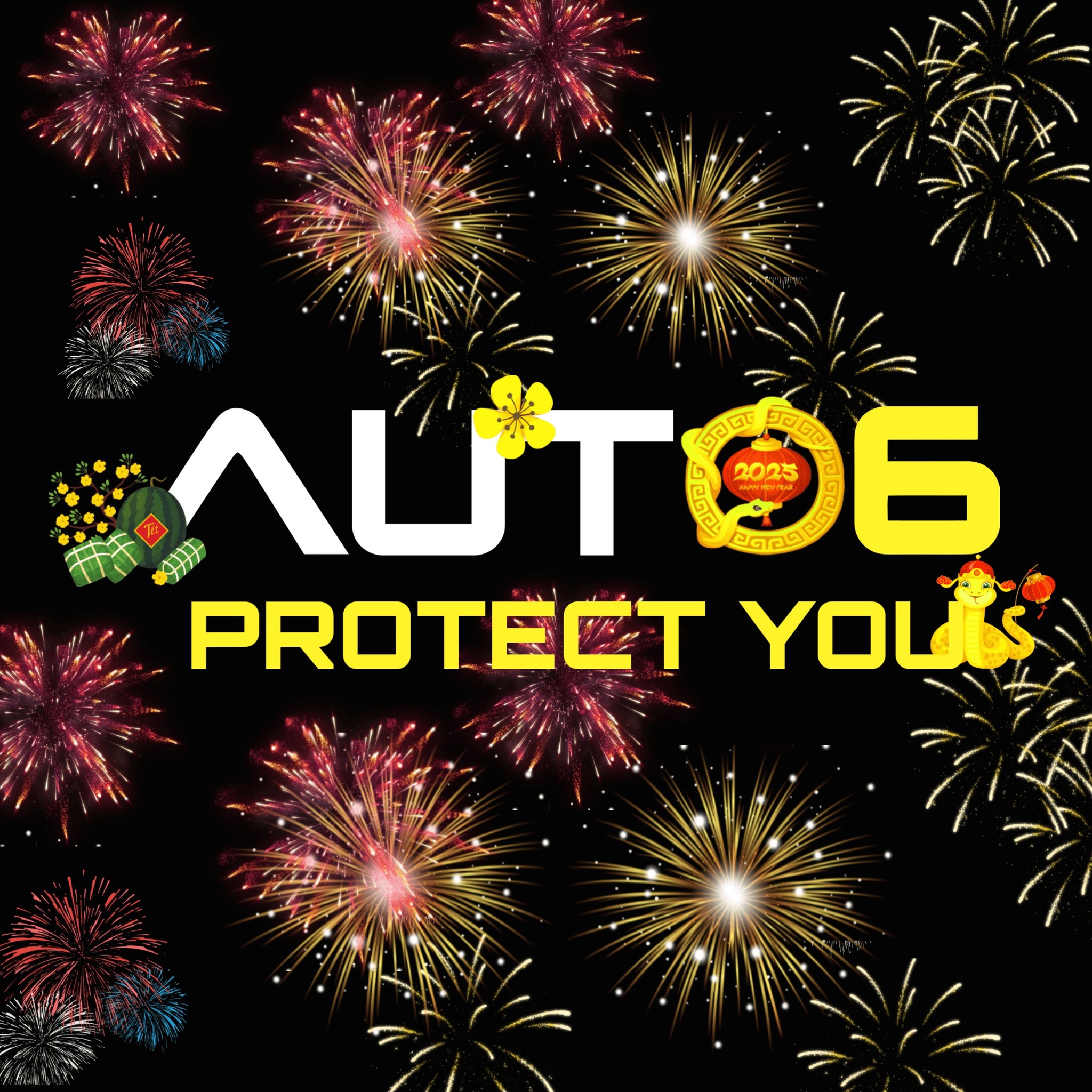 AUTO6 - Shopee Mall Online | Shopee Việt Nam