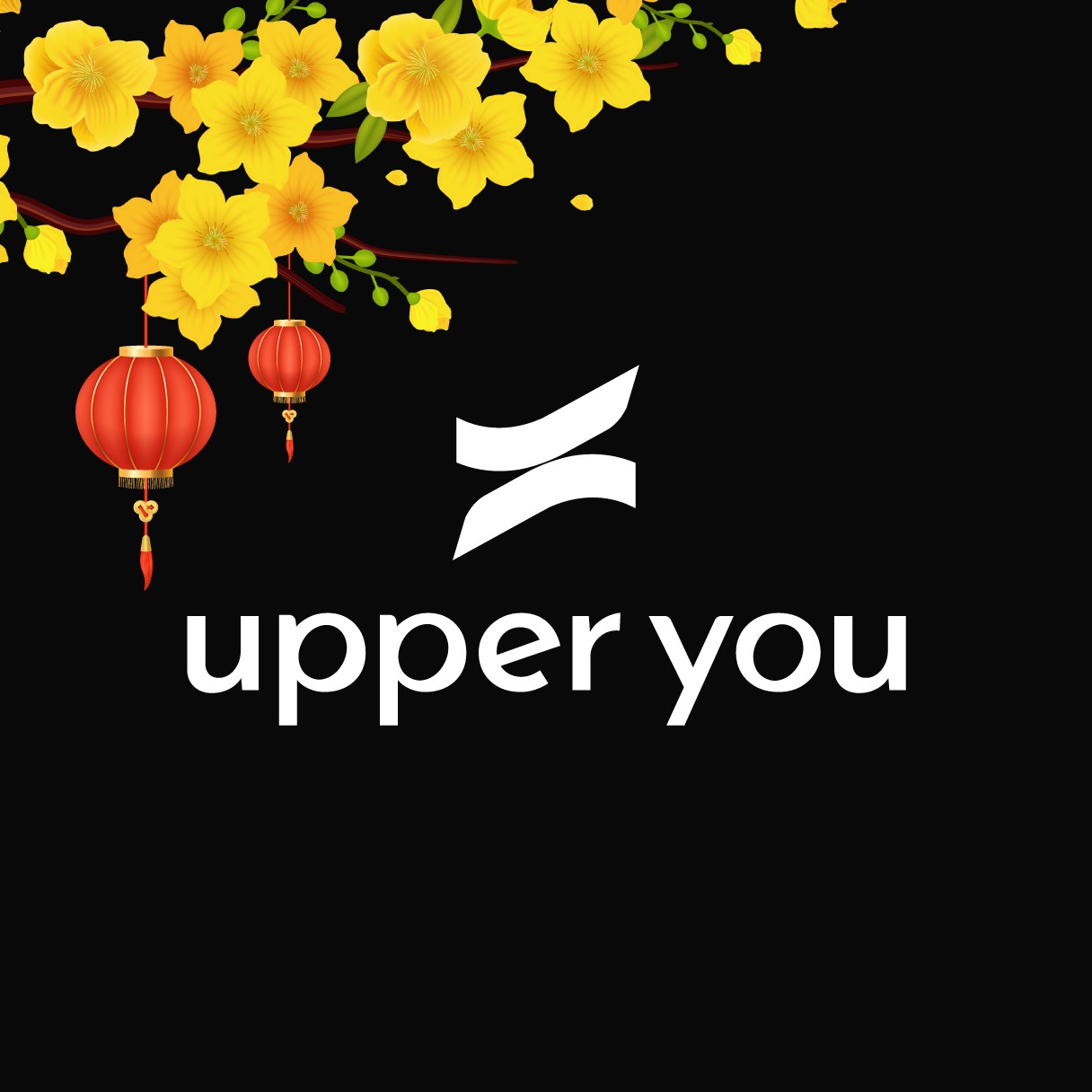 Upper You - Shopee Mall Online | Shopee Việt Nam