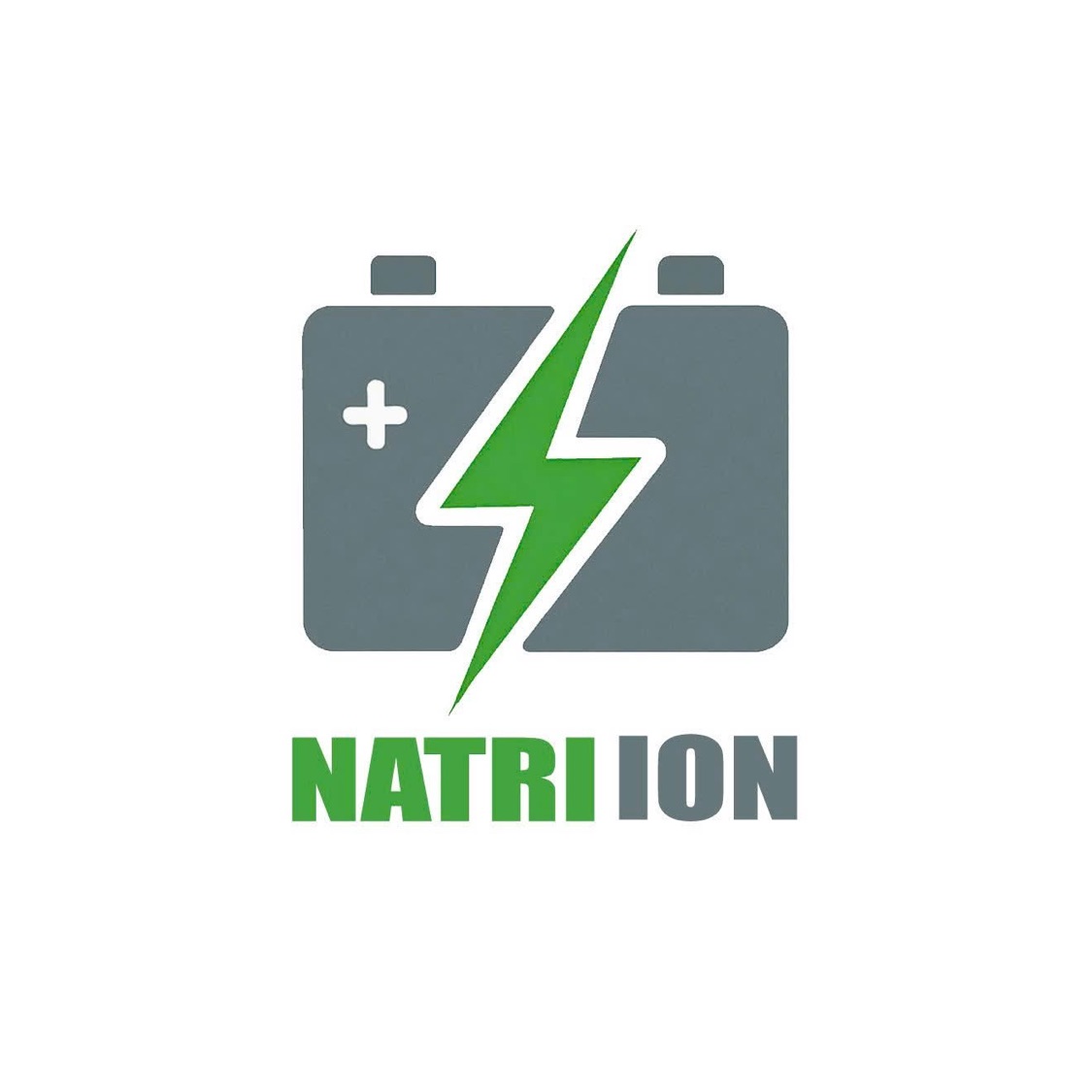 Pin Natri ion Việt Nam, Cửa hàng trực tuyến | Shopee Việt Nam