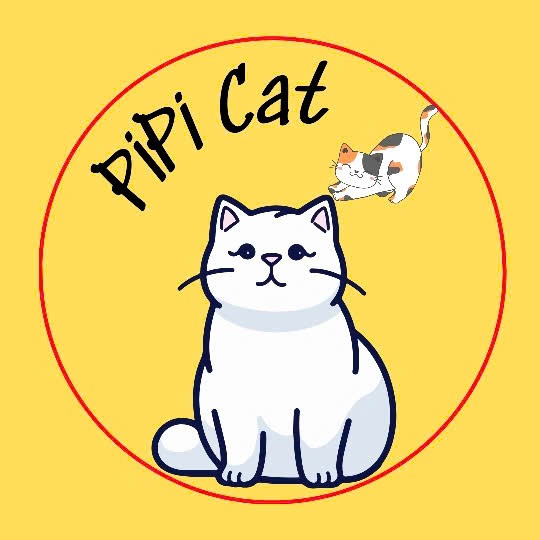 PiPi Cat, Cửa hàng trực tuyến | Shopee Việt Nam
