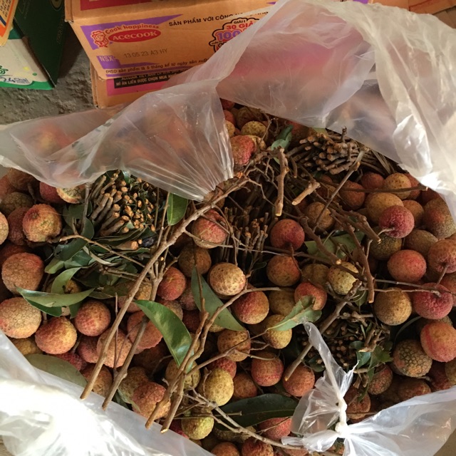 MBE Shop, Cửa hàng trực tuyến | Shopee Việt Nam