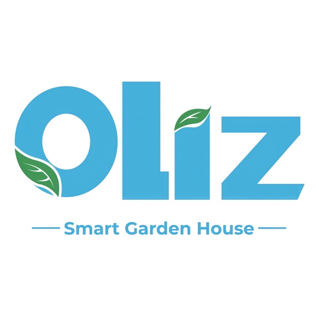 Chậu Cây Thông Minh Oliz, Cửa hàng trực tuyến | Shopee Việt Nam