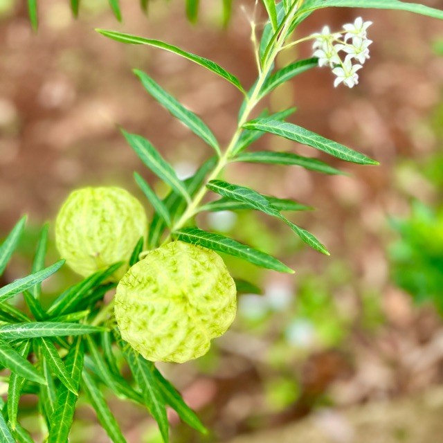 Ximum Shop, Cửa hàng trực tuyến | Shopee Việt Nam