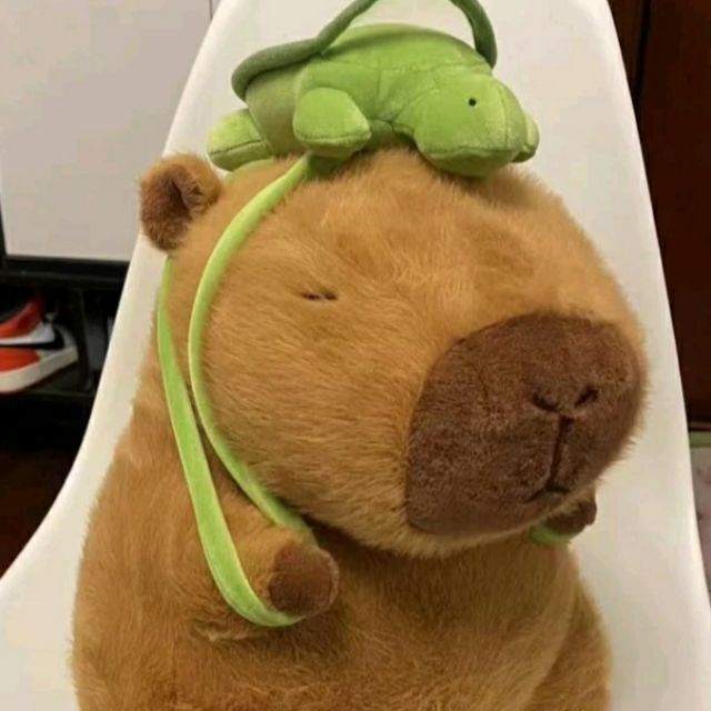 Capybara store, Cửa hàng trực tuyến | Shopee Việt Nam