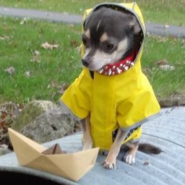 Lêtáo🍎, Cửa hàng trực tuyến | Shopee Việt Nam