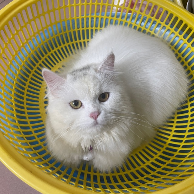 Bubu.kid clothing, Cửa hàng trực tuyến | Shopee Việt Nam