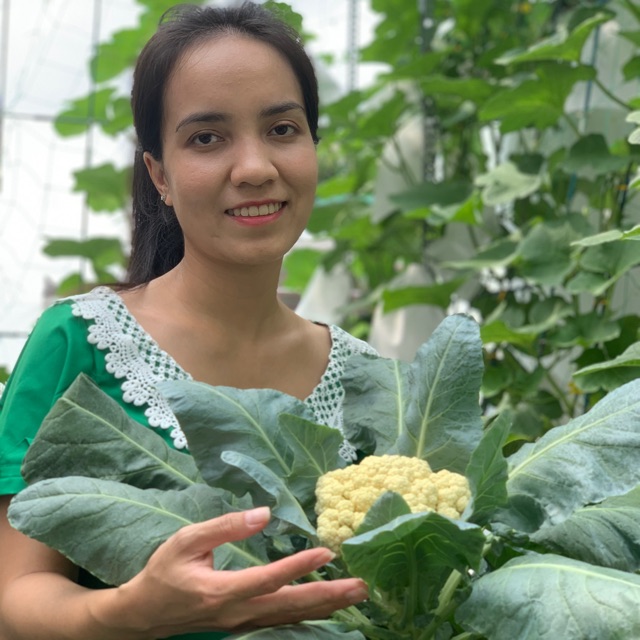 3m2 Garden, Cửa hàng trực tuyến | Shopee Việt Nam