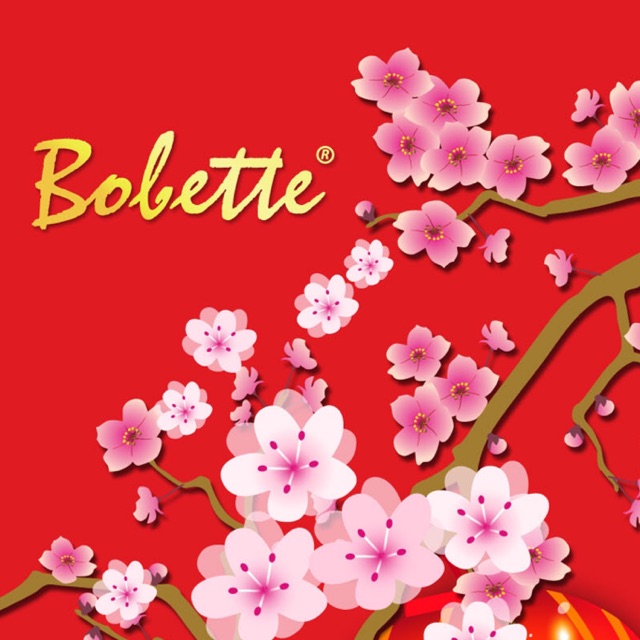 Bobette, Cửa hàng trực tuyến | Shopee Việt Nam