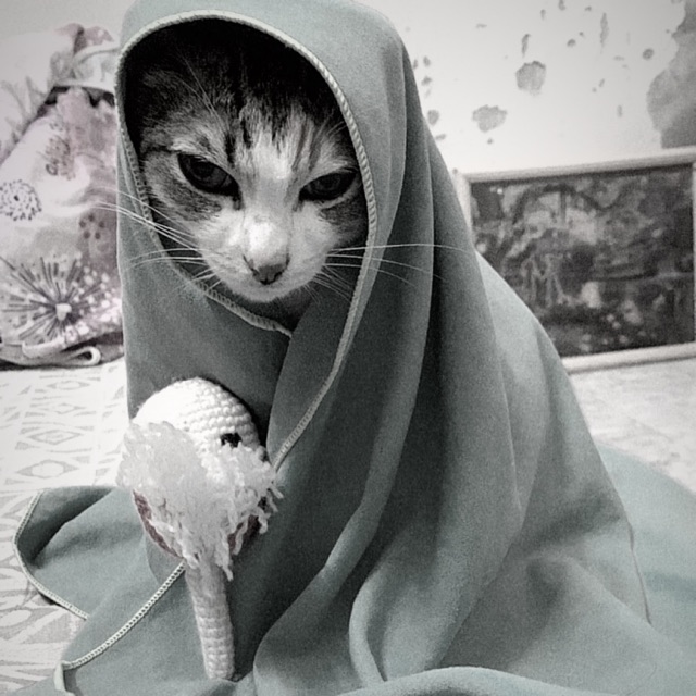 BooYi, Cửa hàng trực tuyến | Shopee Việt Nam