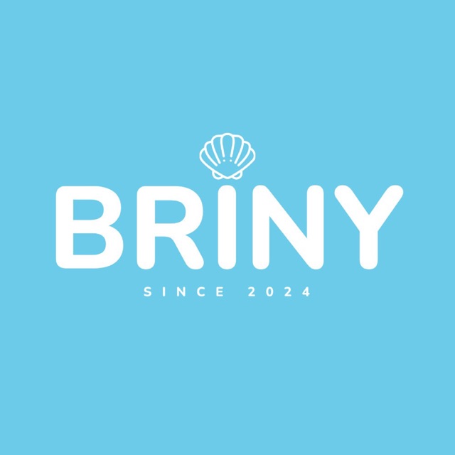 Túi xách nhà Briny, Cửa hàng trực tuyến | Shopee Việt Nam