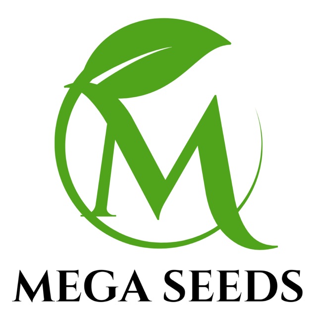 Mega Seeds, Cửa hàng trực tuyến | Shopee Việt Nam