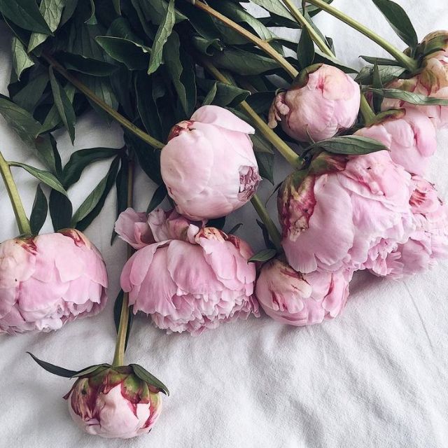 pass goods🌷 , Cửa hàng trực tuyến | Shopee Việt Nam