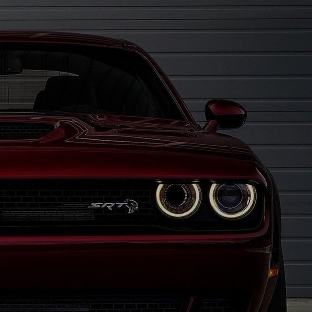 SunLee.Studio, Cửa hàng trực tuyến | Shopee Việt Nam