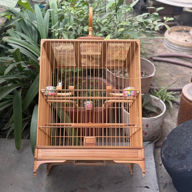 Kamone, Cửa hàng trực tuyến | Shopee Việt Nam