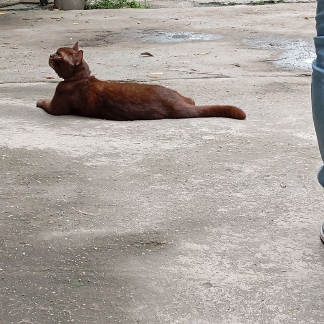 nihuh, Cửa hàng trực tuyến | Shopee Việt Nam