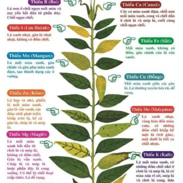 Vtnn Hưng Phát, Cửa hàng trực tuyến | Shopee Việt Nam