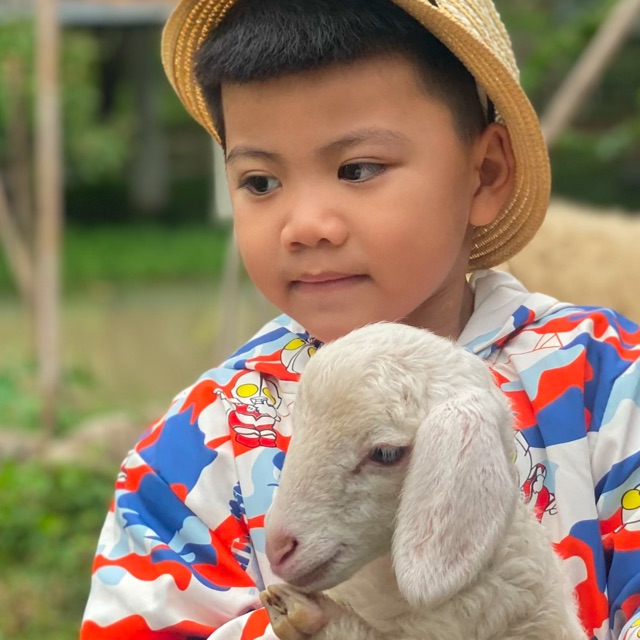 HC Home Center, Cửa hàng trực tuyến | Shopee Việt Nam